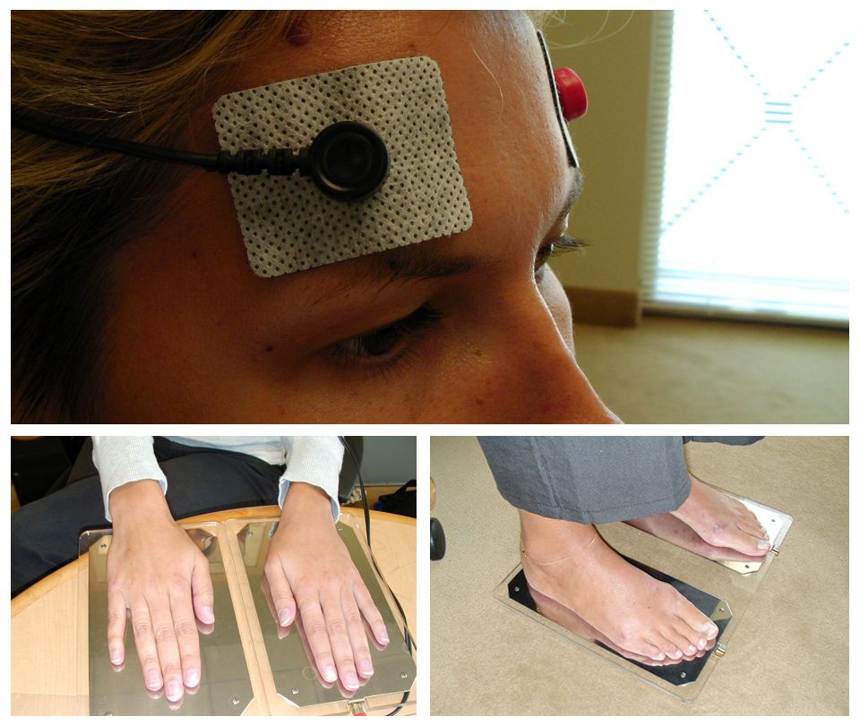 EIS Electro Interstitial Scan - 株式会社ワイズ・テック